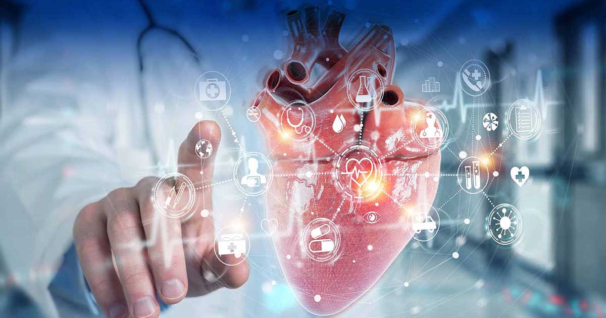 Leadership - Boston Heart Disease Consultation